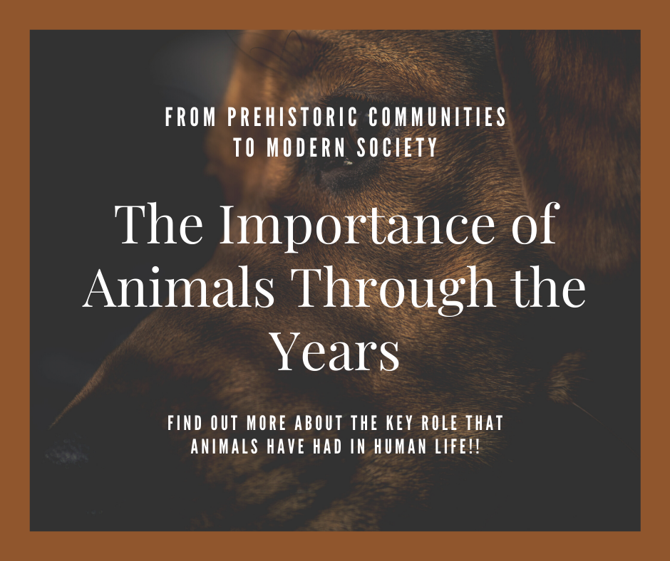 The Importance of Animals Through the Years – CastlesandTurrets