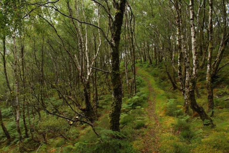 5 of Scotland’s Best Hiking Trails – CastlesandTurrets