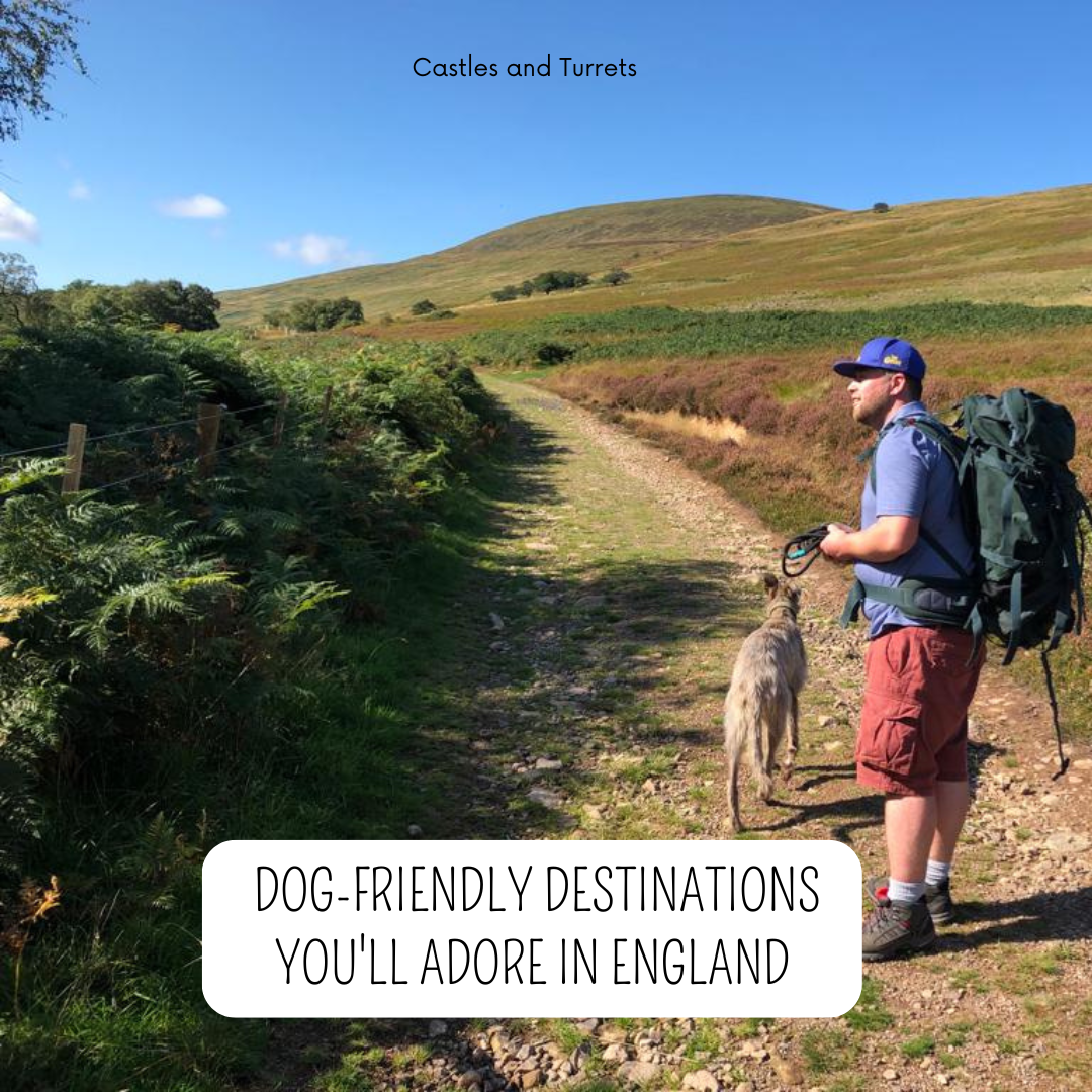 Dog-Friendly Destinations You’ll Adore in England – CastlesandTurrets