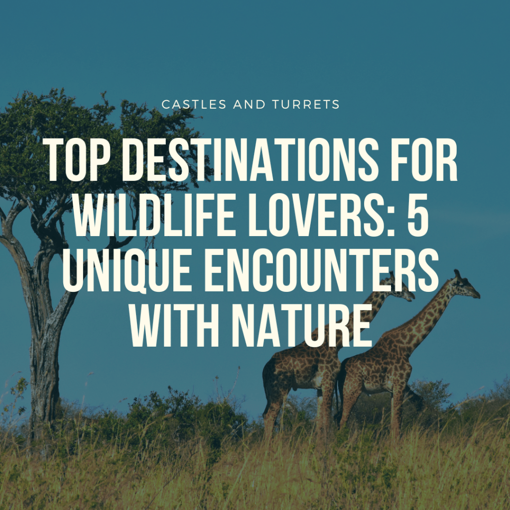 Top Destinations for Wildlife Lovers: 5 Unique Encounters with Nature ...