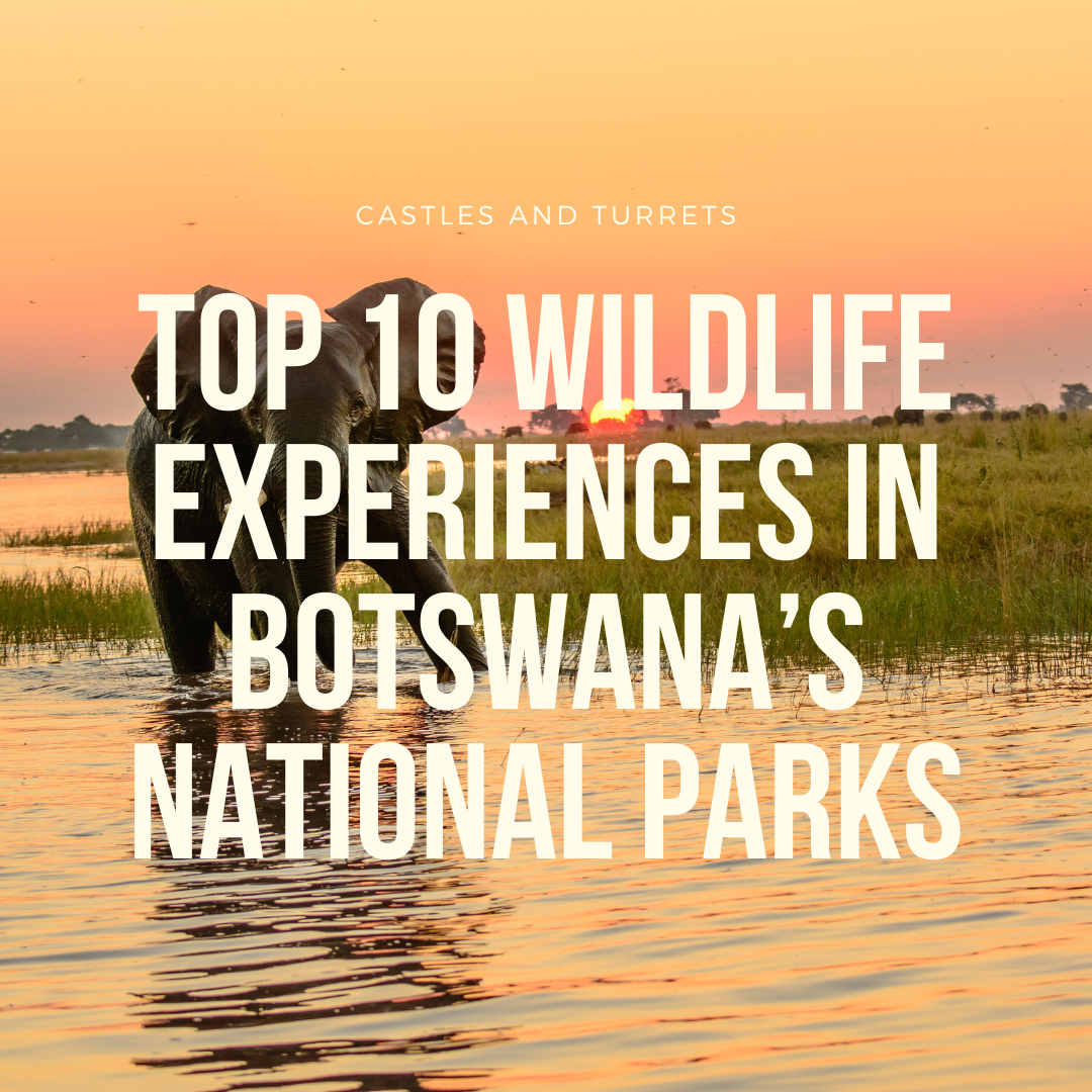 Top 10 Wildlife Experiences in Botswana’s National Parks ...